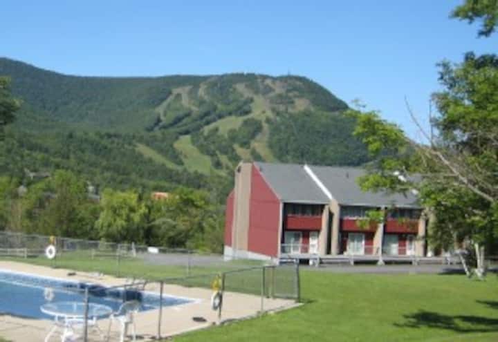 Vacation Condo With Great Mountain Views - Hunter Mountain, NY