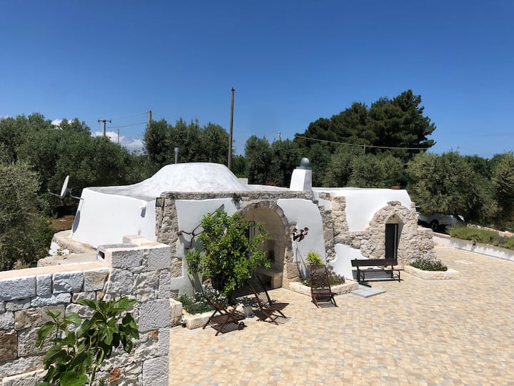 Trullo Plongé Dans Les Oliviers Centenaires - San Vito dei Normanni