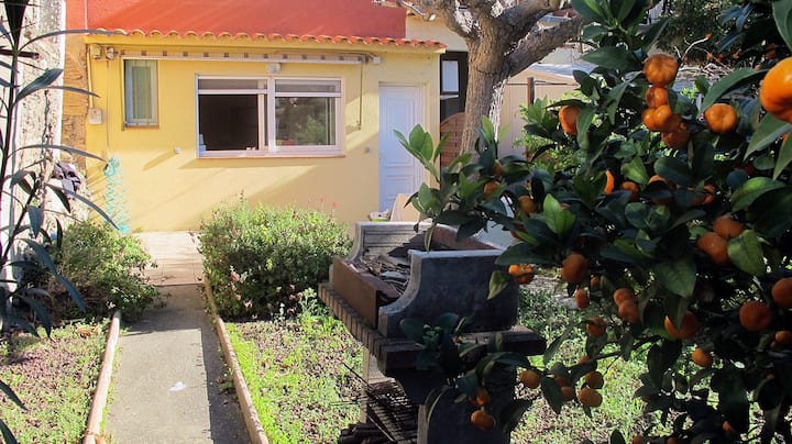 Appartement En Bord De Mer Au Calme Avec Jardin - Cerbère