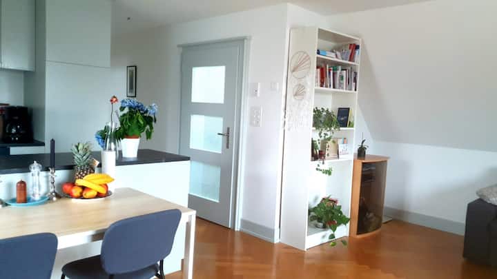 Sonnige 3-zimmer-wohnung Im Zentrum Zürichs - Zürich