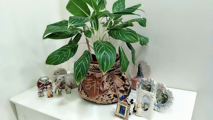 溫馨小別墅/ 1到3人包棟限平日/ 交通方便/ 生活便利 - 中壢區