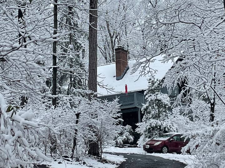 Pup-friendly, Kid-friendly, Chalet In The Woods. - Harrisonburg, VA