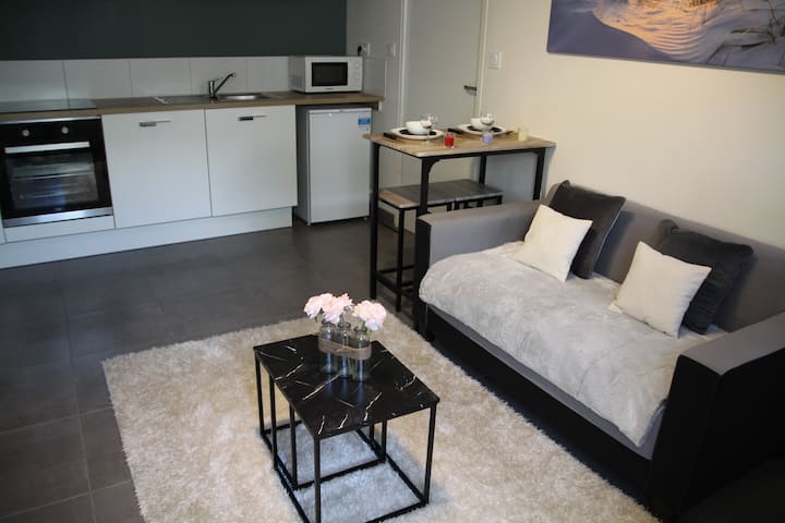 Appartement Calme Centre-ville - Laval, France
