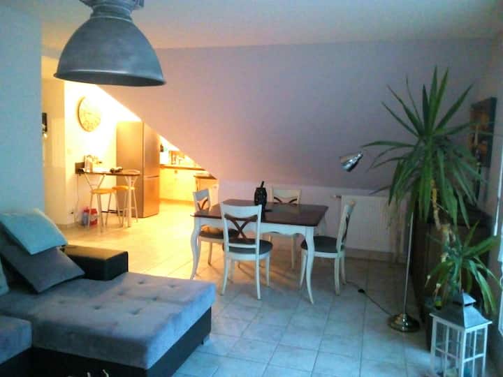 Chambre Cosy, Garage Vélo Parking Voiture Gratuit - Colmar