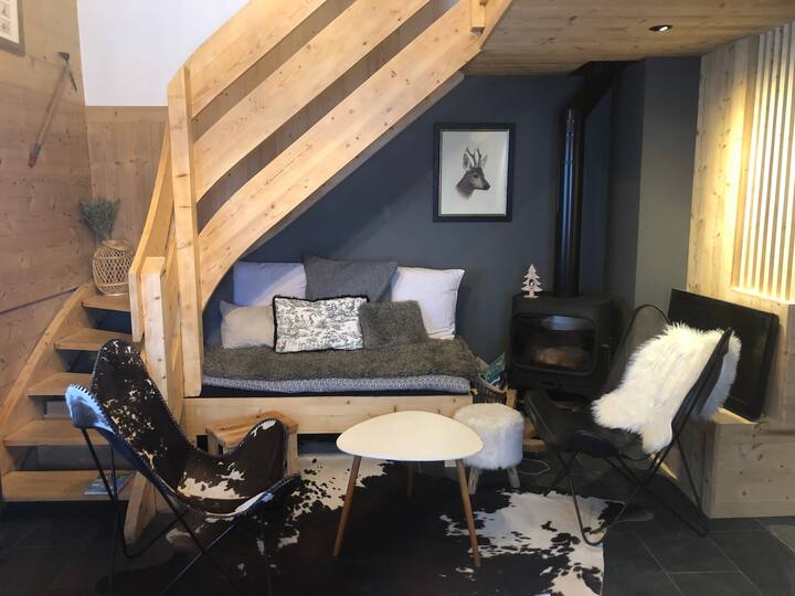 Duplex Cosy Au Pied Des Pistes - Saint-Jean-de-Sixt