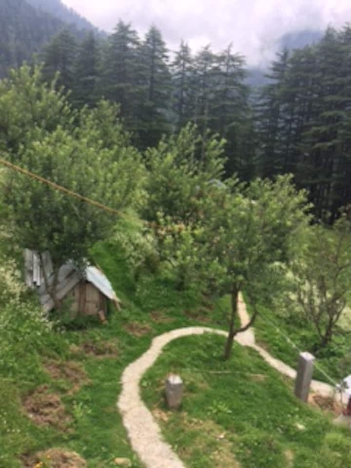 Stunning Hills, Trek To Vyas Sikhar Deoban(tent) - Chakrata