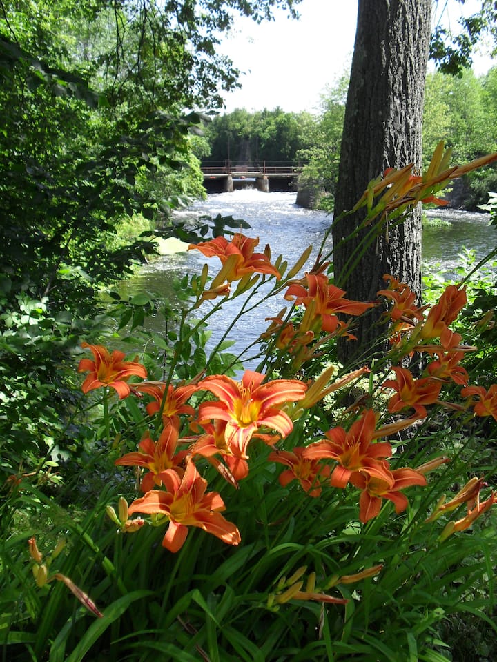 Old Mill Cottage - Gananoque