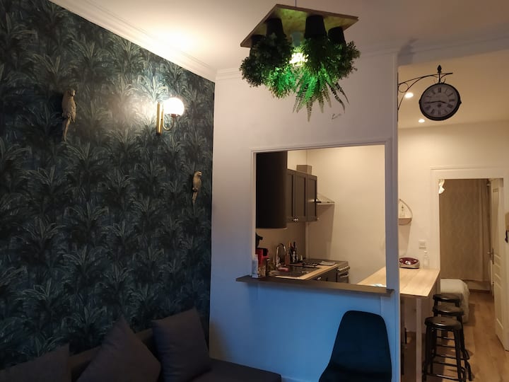 Joli T2 Centre Ville De Dijon Proche Bsb - Dijon