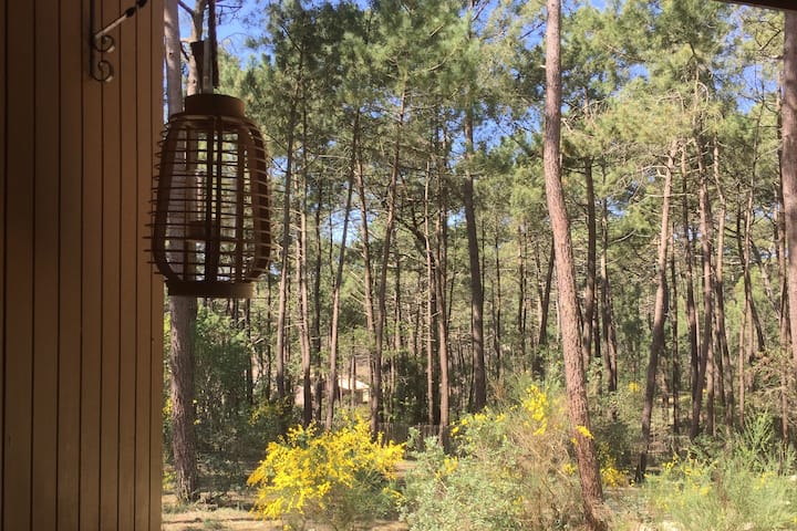 Chalet En Bois Entre Lac Et Océan - Calme - Carcans