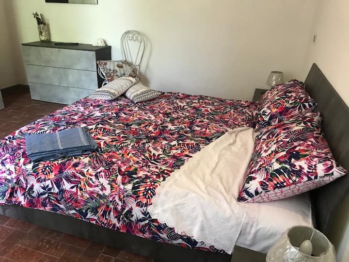 Bilocale Ai Gelsi - Marina di Massa