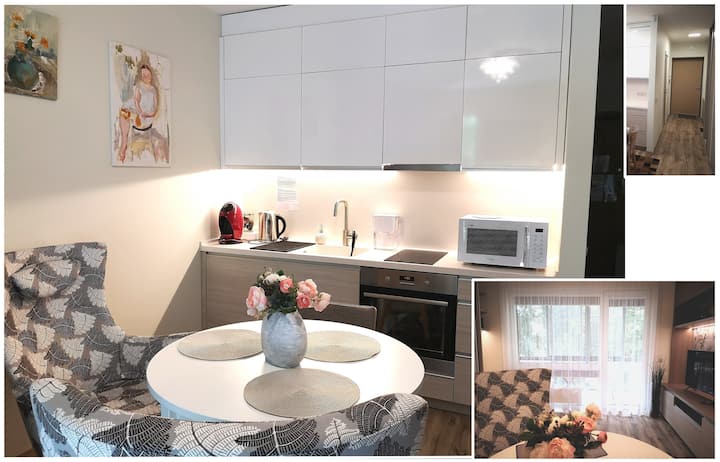 Apartment By The Linden Trees - Vilnius