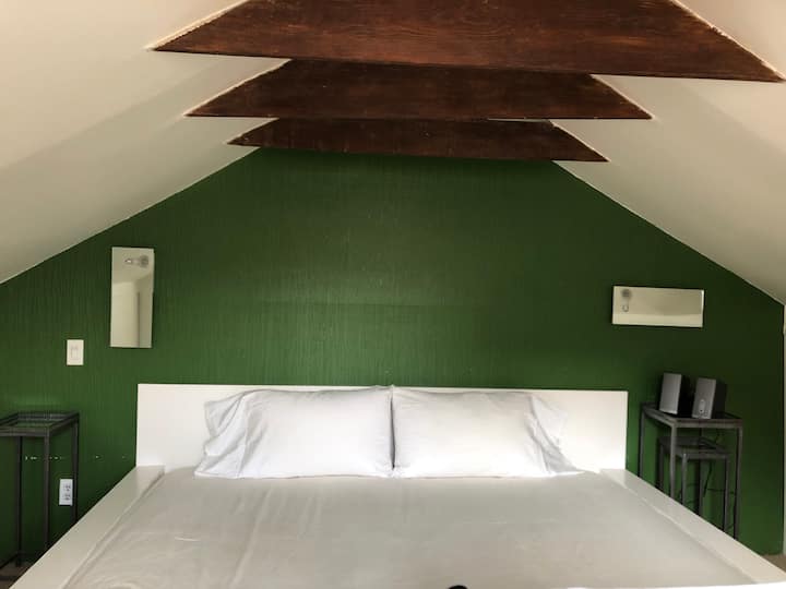 European Style House In The Film District - Toronto