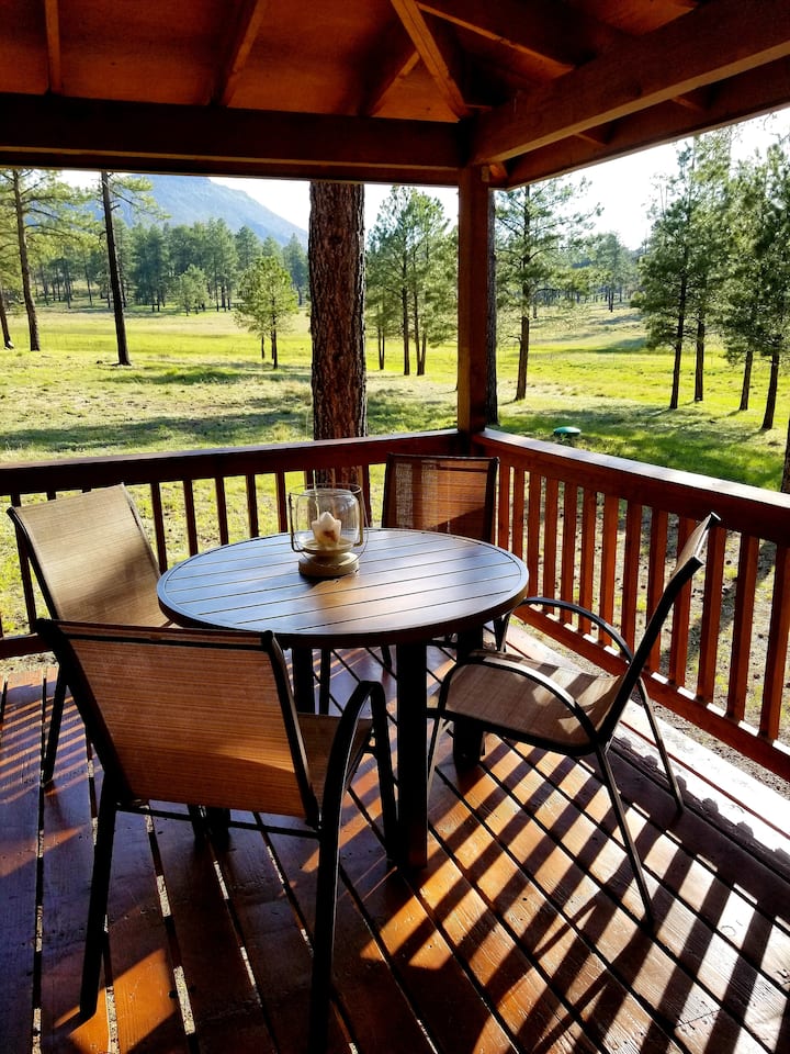 8 Amazing Cabin Rentals In Alpine, Arizona - Updated 2025 | Trip101
