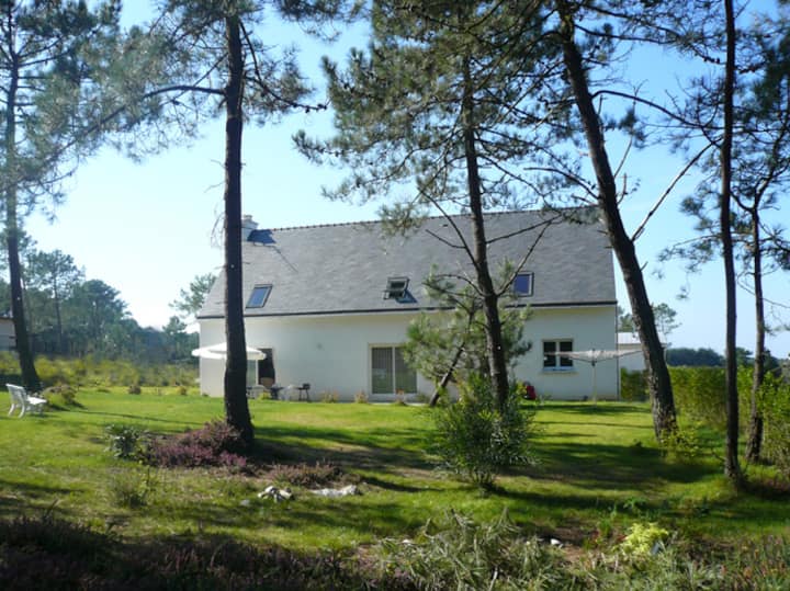 Maison Bois Du Kador, Dans Impasse Calme Et Boisée - Camaret-sur-Mer