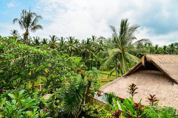 Zen Gateway With Private Pool & Ricefield View - Bali