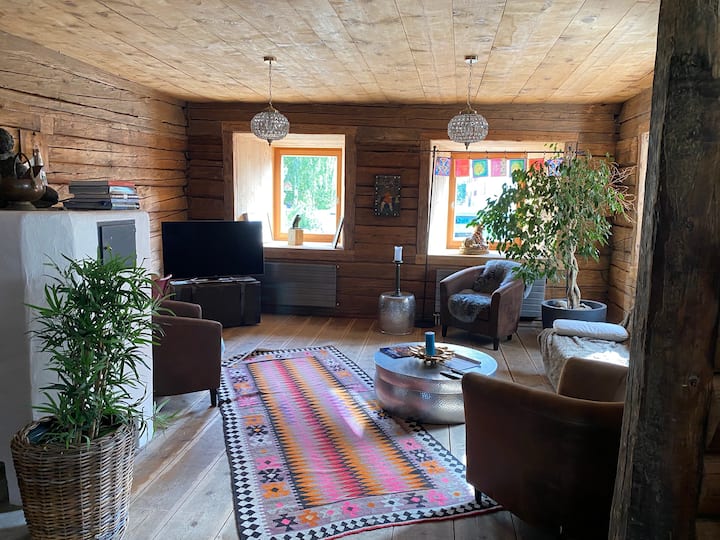 Neu: Wohnung Mit Ambiente Künstlerviertel In Susch - Guarda