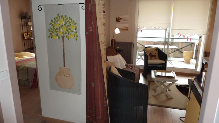 T2 Calme Terrasse Sud Et Parking - Biarritz