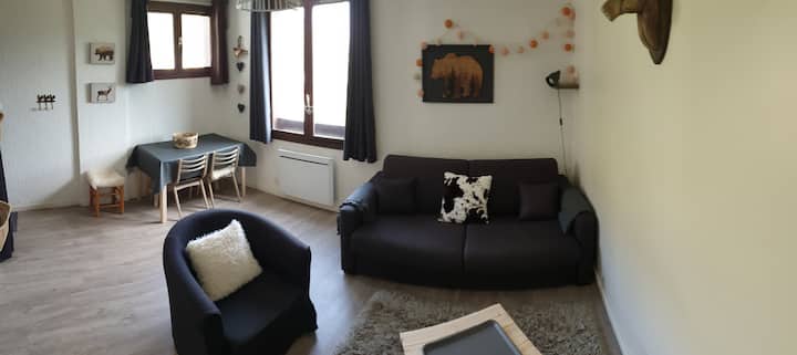 Charmant Studio, Accès Piste Facile - Les Deux Alpes