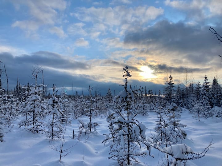 Lantier: Lac Ludger Lake Access 4-bdr Cozy Chalet - Sainte-Agathe-des-Monts