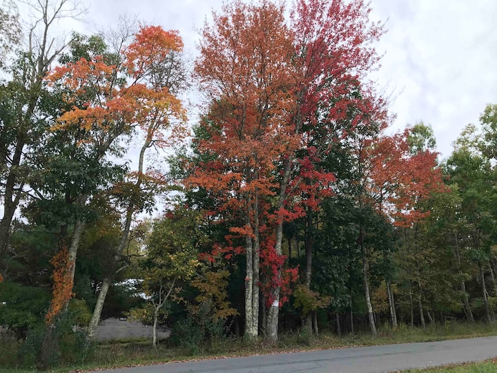 Farm House
Built In Pool/jacuzzi May-september - Narrowsburg, NY