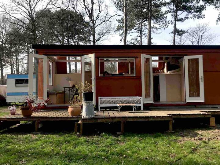 Tiny House: Beach10 /Forest1/amsterdam 30 Minutes - Egmond aan Zee