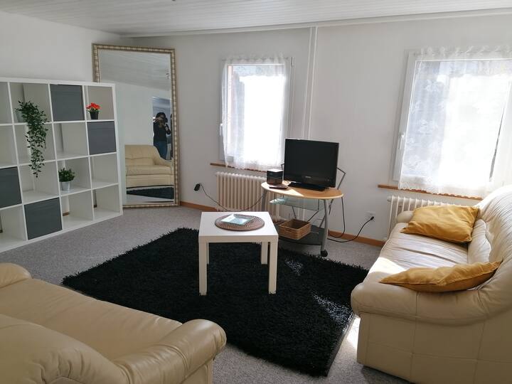Appartement Confortable, Paradis De La Randonnée - St. Gallen