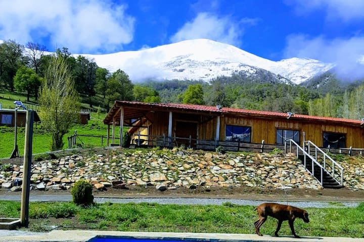 Cabañas Bellavista, Lonquimay (6 Personas) - Lonquimay