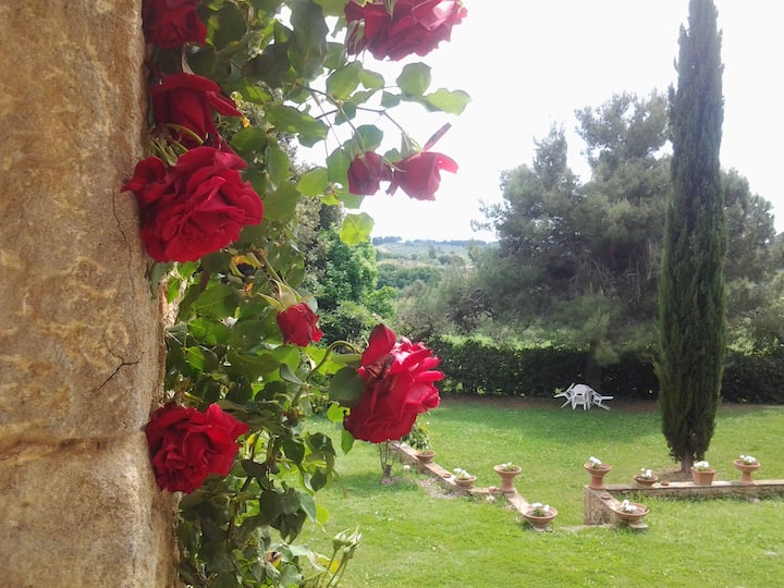 Il Moreto - App. "Nido Delle Rondini" - Bibbona