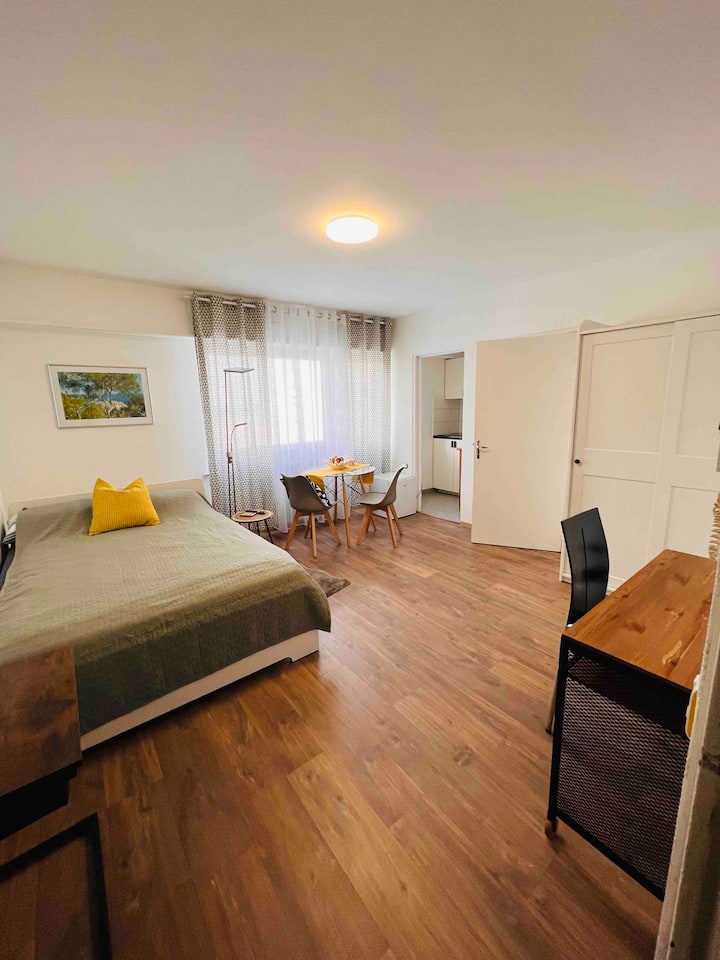 Studio Near Messe Basel/ Euroairport/ De/fr - Bâle