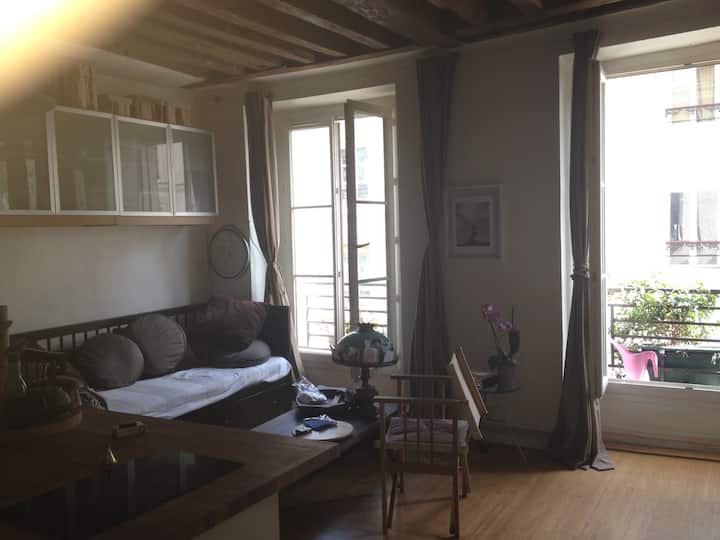 Lumineux Appartement Proche Marais - Paris