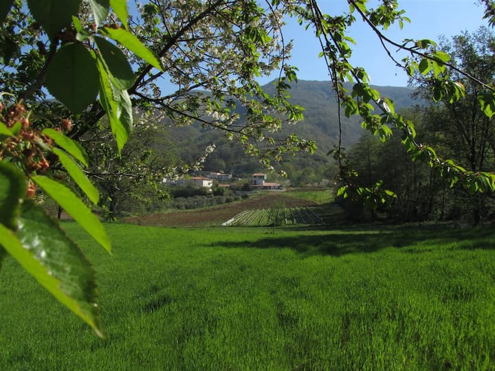 In The Countryside, On A Farm. - Guardia Piemontese