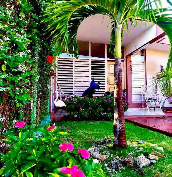 Casa Llena De Vida, Iluminada Y Fresca - Varadero