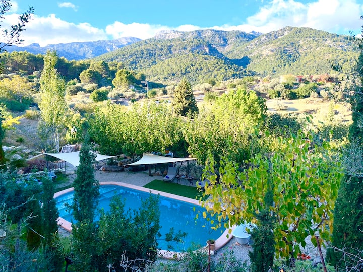 Sa Penya De’s Vent - Selva