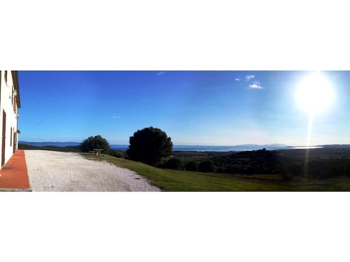 Podere Castello Di Vignale Trilo. 3 - Follonica