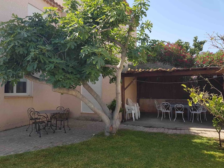 Canet En Roussillon Grande Villa Avec Jardin à - Canet-en-Roussillon