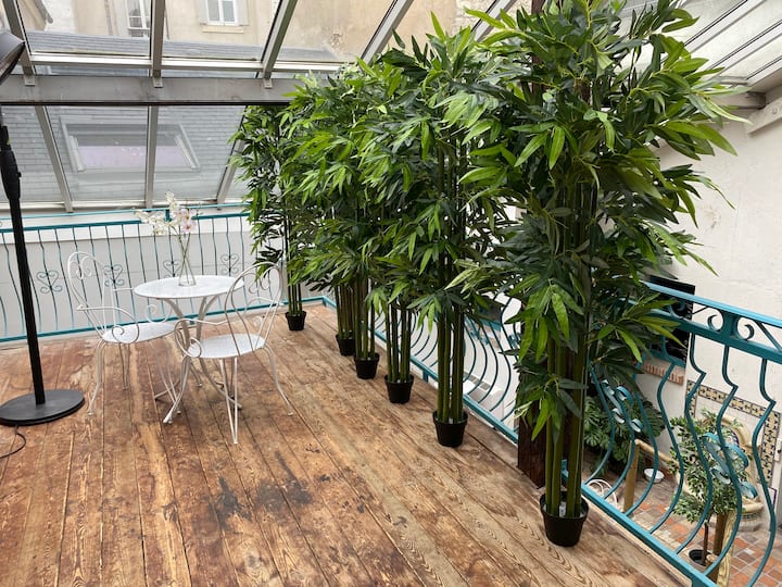 Appartement Jungle - Orlean