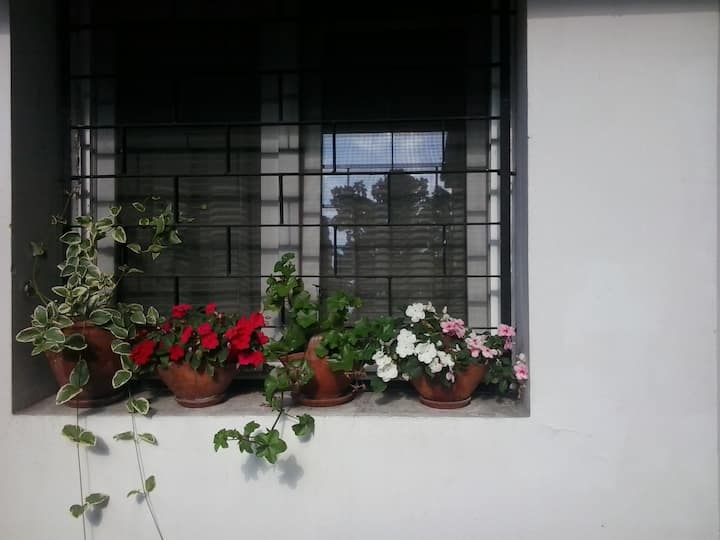 Lonely Traveler - Sofia