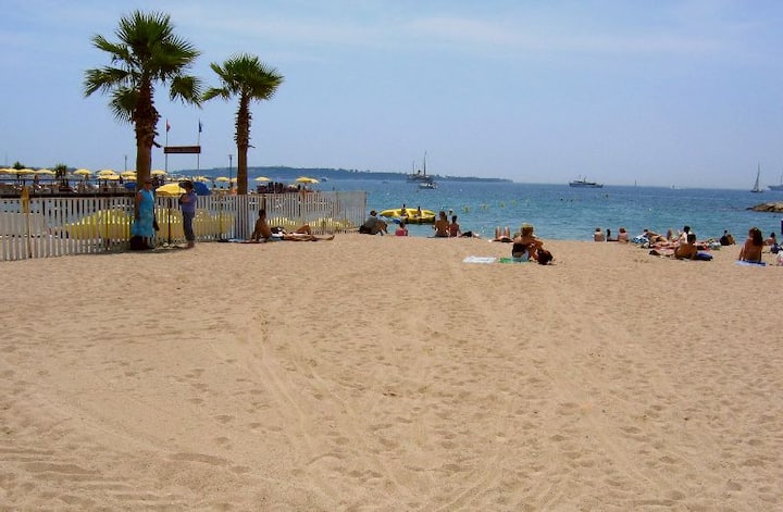Discout 30% Juillet . Centre, Vieux Port, Plages. - Cannes