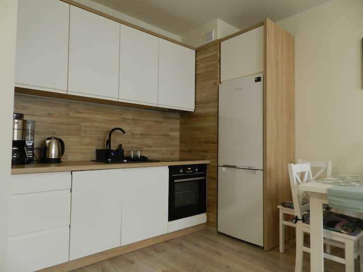 Apartament Staromiejski  Z Garażem - Toruń