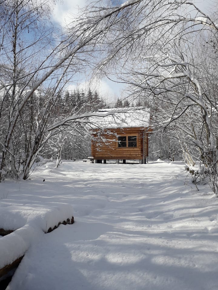 Le Chalet Du Tennessee - Les U.s.a. En Auvergne