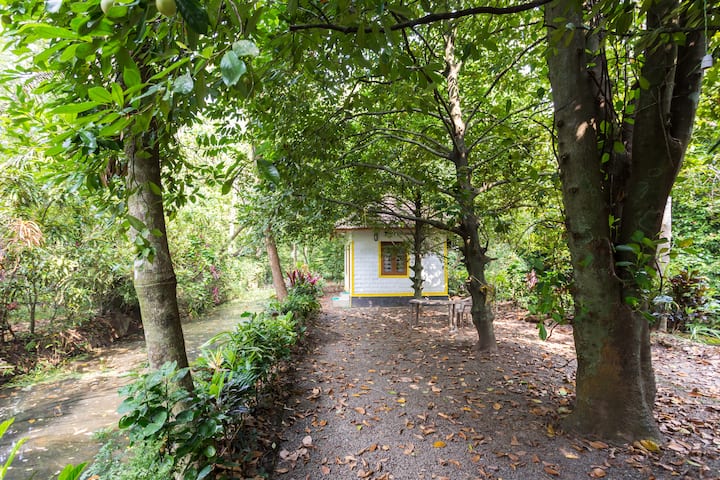 Enclave-lake View Twin Bedded Cottage - Kumarakom