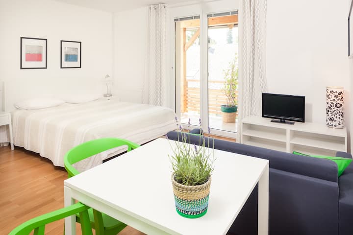 Bright And Cozy Lakeview Apartment - 블레드