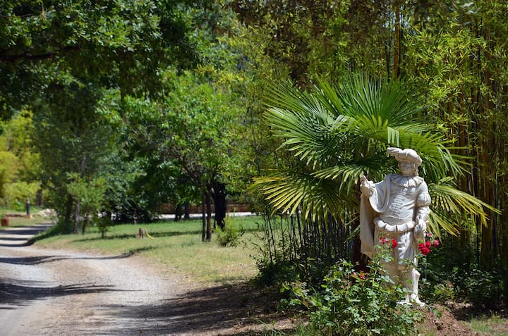 Domaine Le Chevalier - La Vesta - Lorgues
