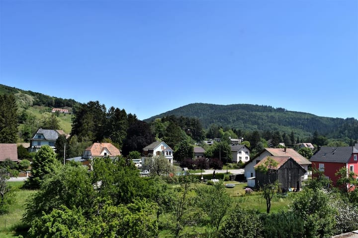 Appartement 3p Convivial Aménagé Avec Charme - Thann