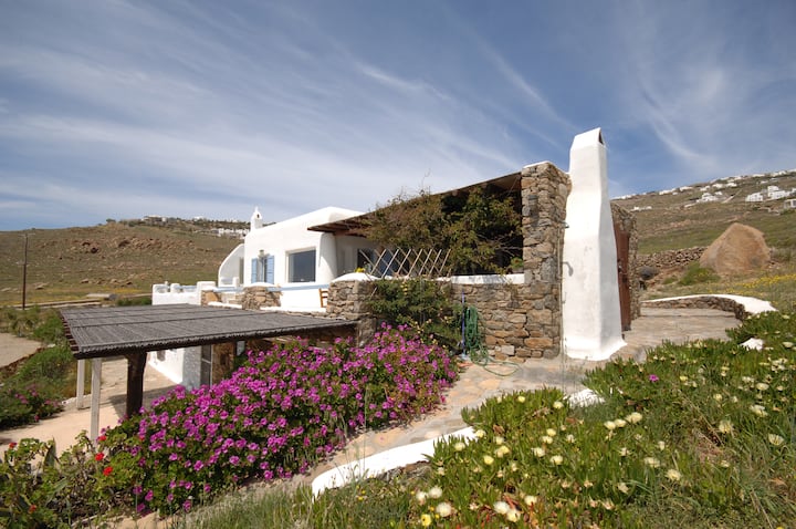 Quiet Private Villa By The Sea - Mykonos