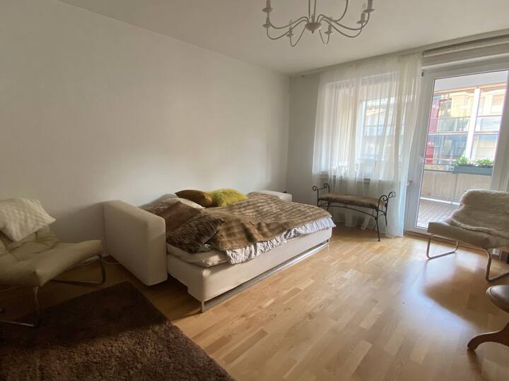 Apartment In The Centre, Quiet And Nice Setting - Bonn
