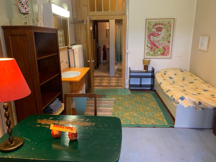 Charming Room For 1 Student Or 1 Adult (And Child) - Aigle