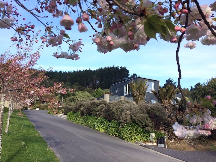Nikau Nest In Cass Bay / Lyttelton - Lyttelton