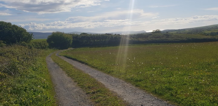 Private Wild Campsite For Families And Friends - Cardigan