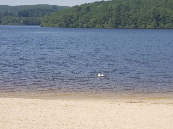 Maison Bleue Du Lac De Vassivière
Vue Imprenable - Lac de Vassivière